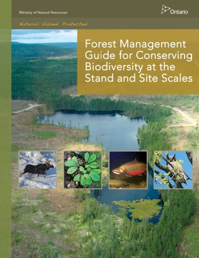 Forest Management Guide for Conserving B – Publications Ontario