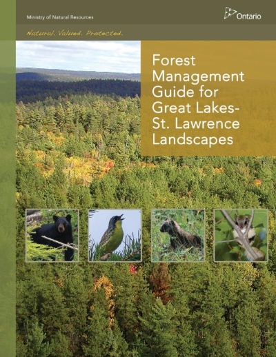 Forest Management Guide for Great Lakes – St. Lawrence Landscapes ...