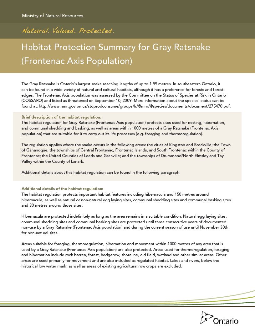 Habitat Protection Summary for Gray Rats – Publications Ontario